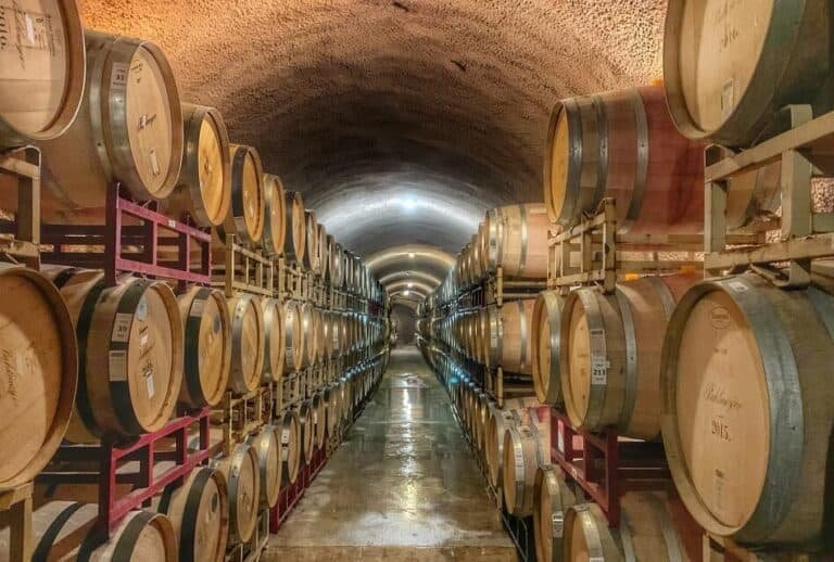 What Is Oaked Wine and How Does It Taste? – WineLoverMagazine