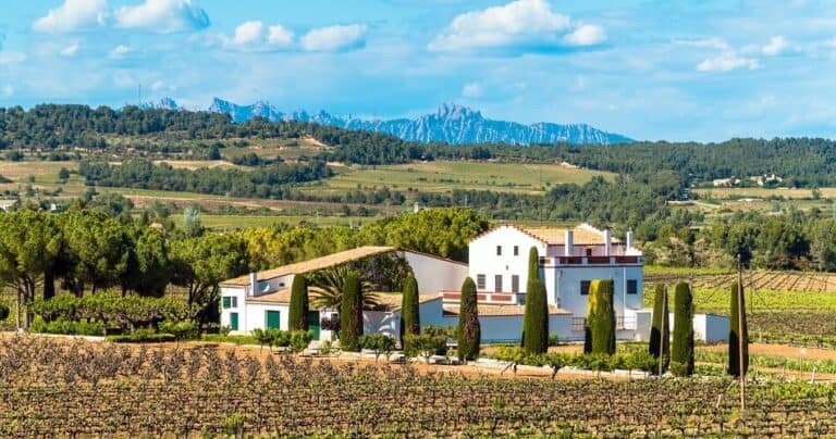 Cava - Premium Sparkling Wine From Spain | WineLoverMagazine