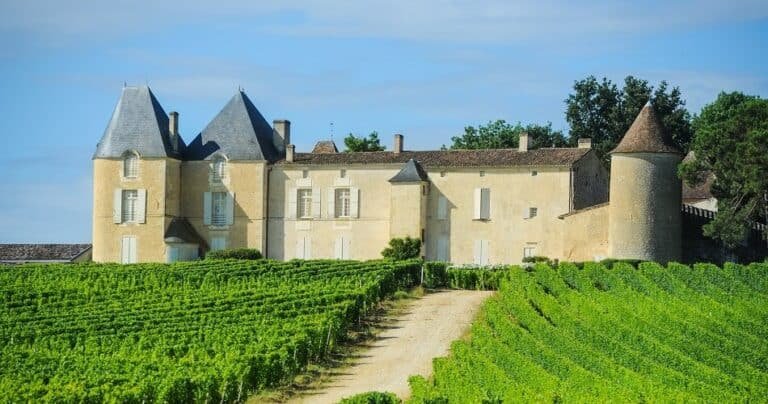 What Is Sauternes Wine And How Does It Taste Winelovermagazine